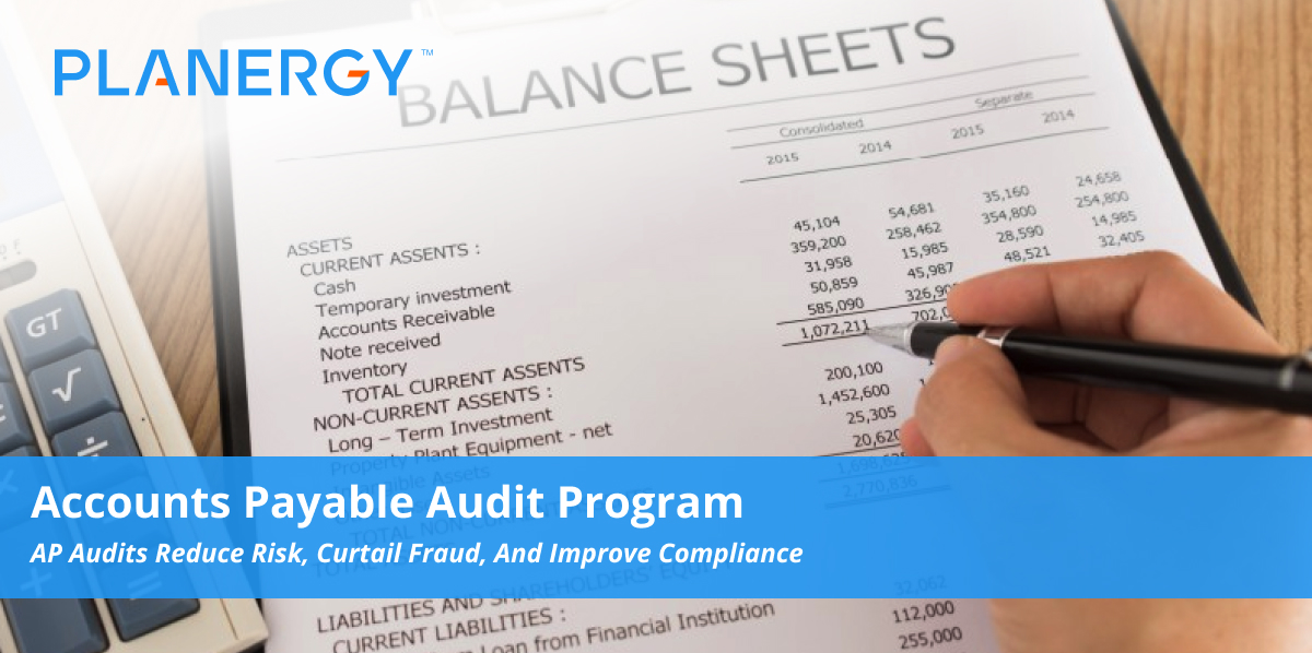 Accounts Payable Audit Program | Planergy Software