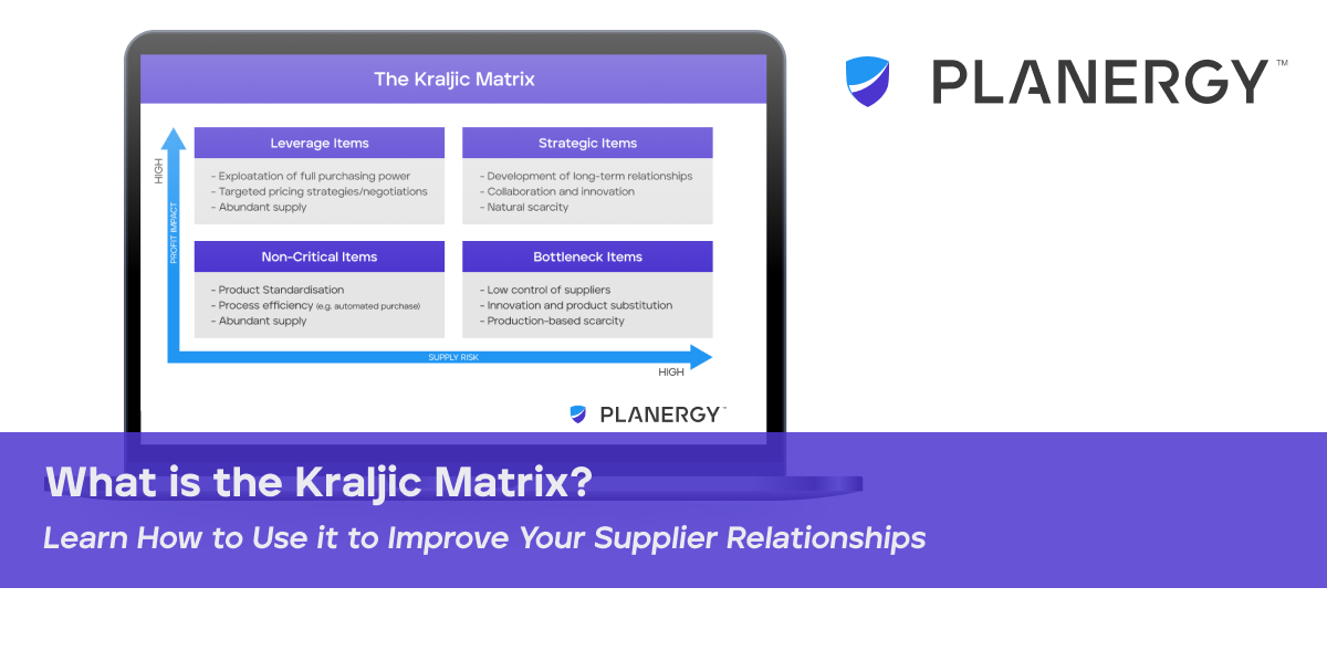 What is the Kraljic Matrix? | PLANERGY Software
