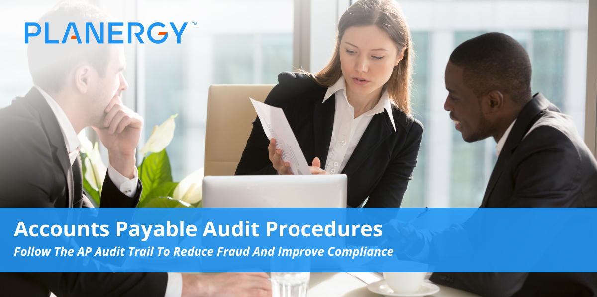 Accounts Payable Audit Procedures | Planergy Software