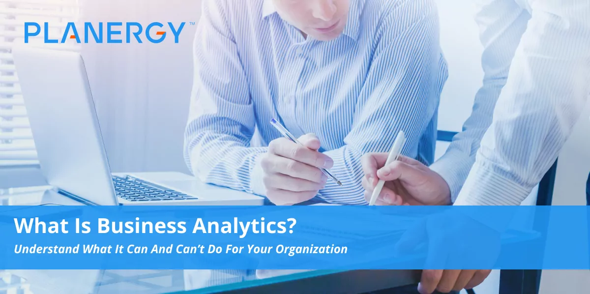What is Business Analytics? | Planergy Software