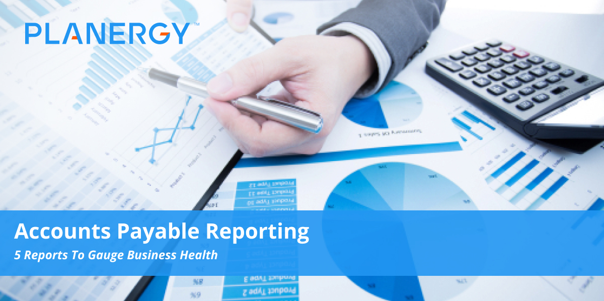 Accounts Payable Reporting | Planergy Software