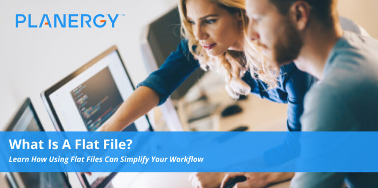 What is a Flat File? | Planergy Software