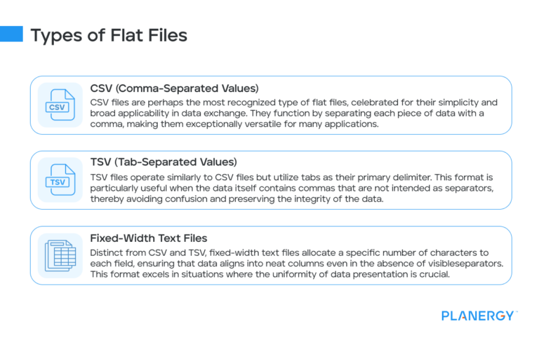 Flat Files & Flat File Databases Explained | PLANERGY Software