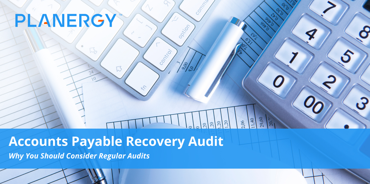 Accounts Payable Recovery Audit | Planergy Software