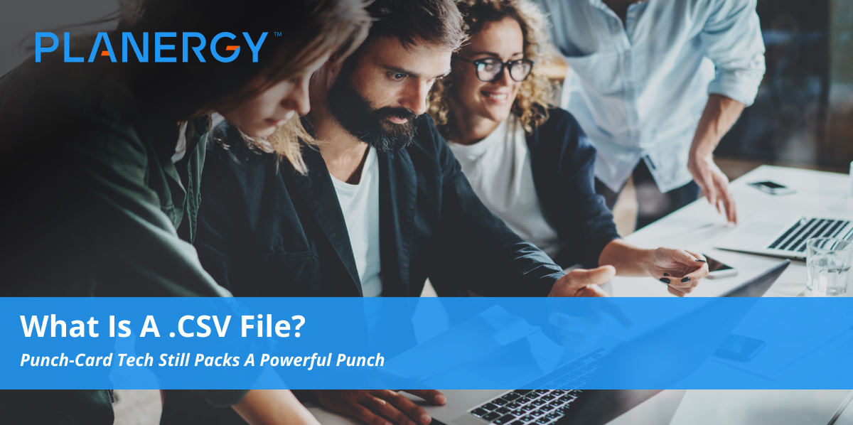 What is a .CSV file? | Planergy Software