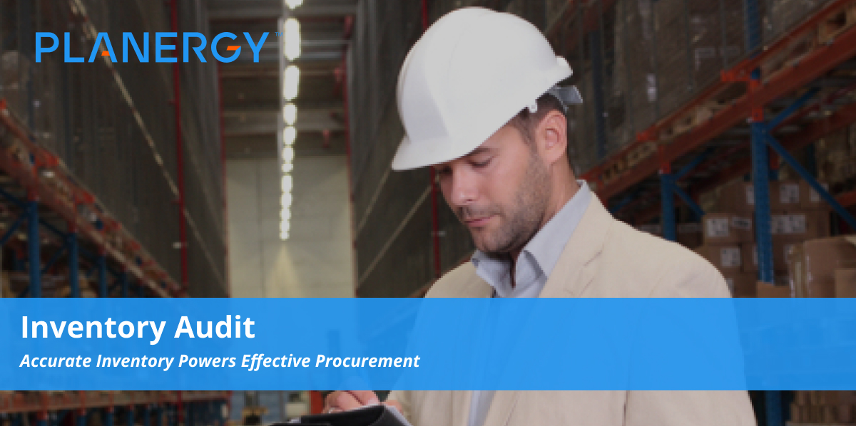 Inventory Audit | Planergy Software
