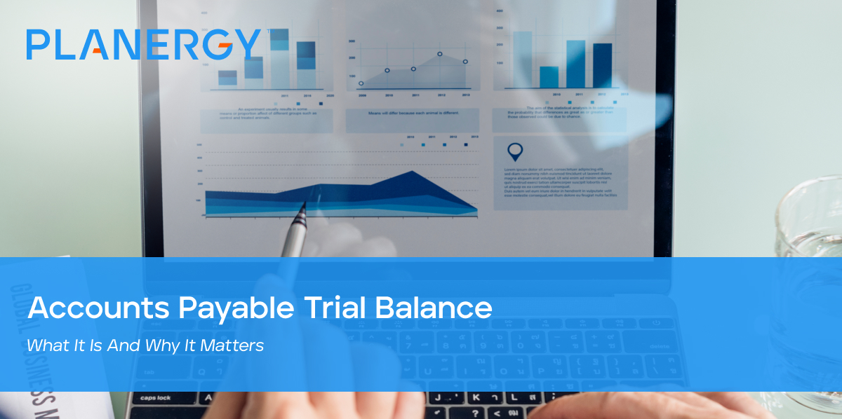 Accounts Payable Trial Balance | Planergy Software