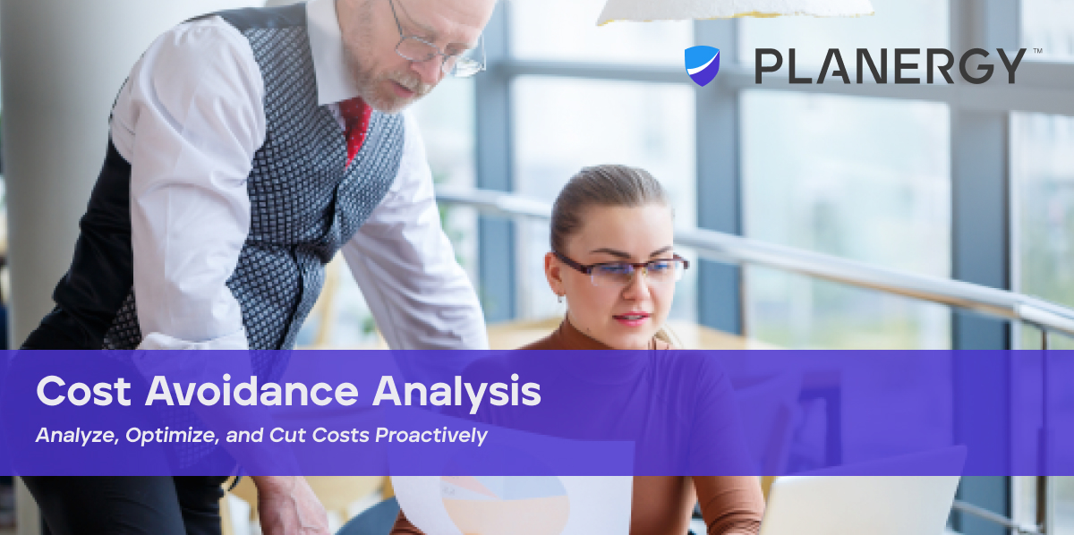 Cost Avoidance Analysis | PLANERGY Software