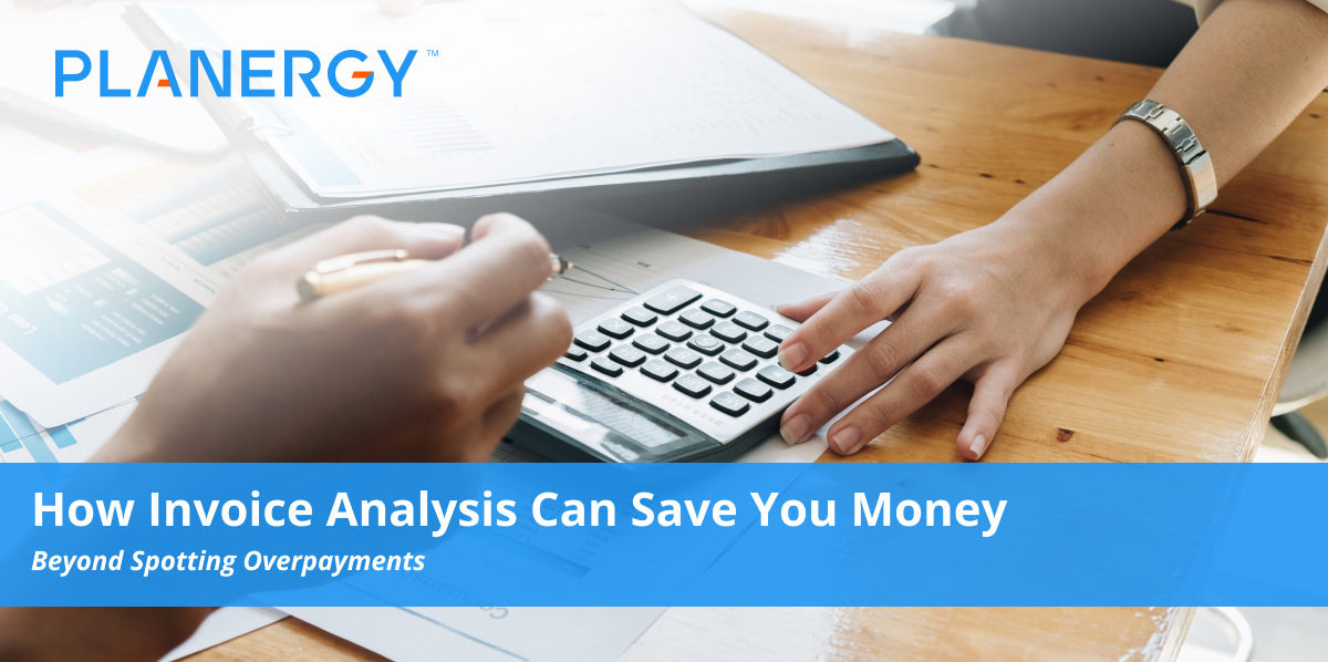 How Invoice Analysis Can Save You Money | Planergy Software