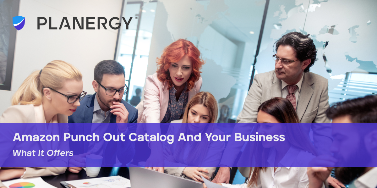 Amazon Punch Out Catalog and Your Business | PLANERGY Software