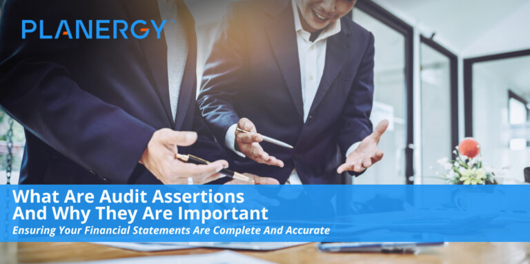 What Are Audit Assertions and Why They Are Important | Planergy Software