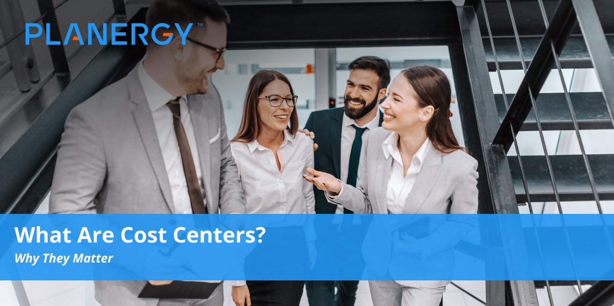 What Are Cost Centers? | PLANERGY Software