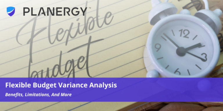 Flexible Budget Variance Analysis | PLANERGY Software
