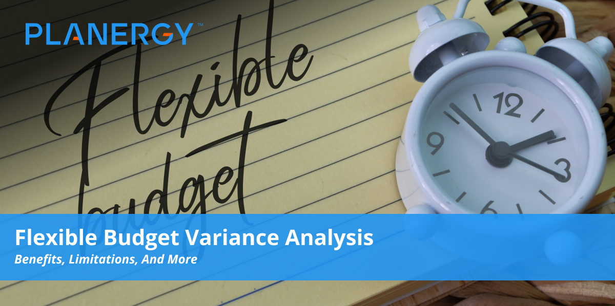 Flexible Budget Variance Analysis : PLANERGY Software