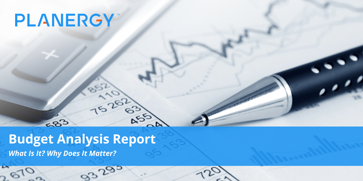 Budget Analysis Report : PLANERGY Software