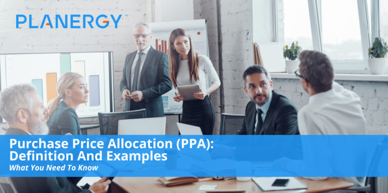 Purchase Price Allocation (PPA): Definition and Examples | PLANERGY ...