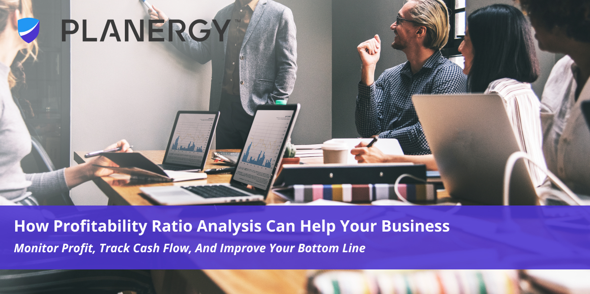 How Profitability Ratio Analysis Can Help Your Business | PLANERGY Software