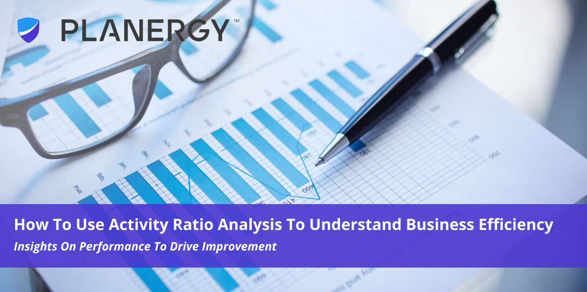 Activity Ratio Analysis | PLANERGY Software
