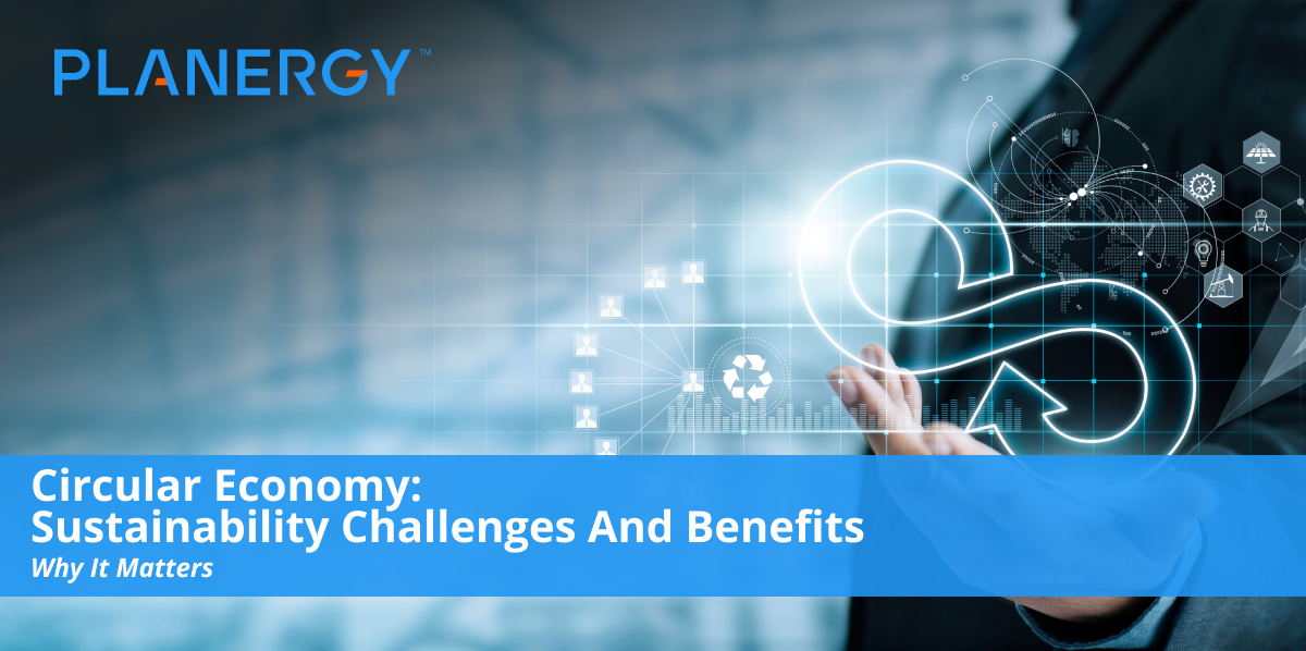Circular Economy: Sustainability Challenges and Benefits | PLANERGY ...