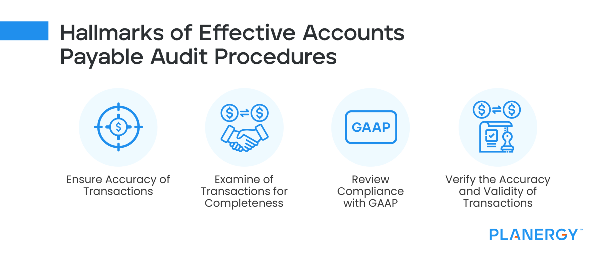 Accounts Payable Audit Procedures | Planergy Software