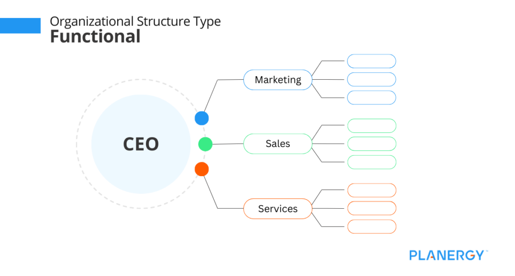 Types of Organizational Structure and Their Pros and Cons | PLANERGY ...