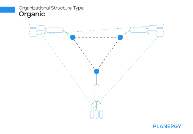 Types of Organizational Structure and Their Pros and Cons | PLANERGY ...